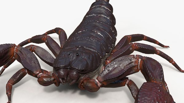 3D production scorpion rig - TurboSquid 1498722