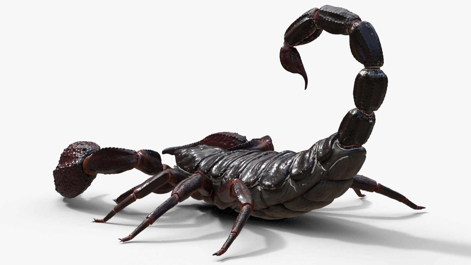 3D Production Scorpion Rig - TurboSquid 1498722