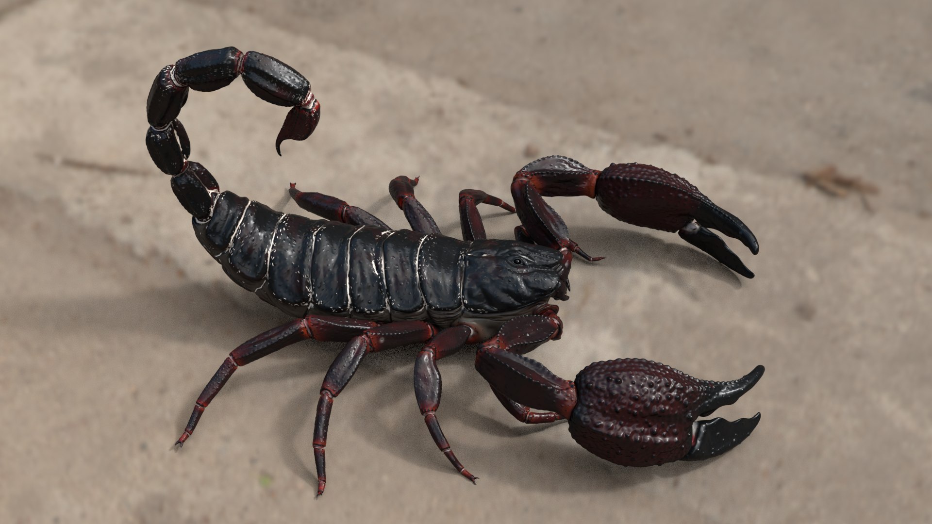 3D Production Scorpion Rig - TurboSquid 1498722