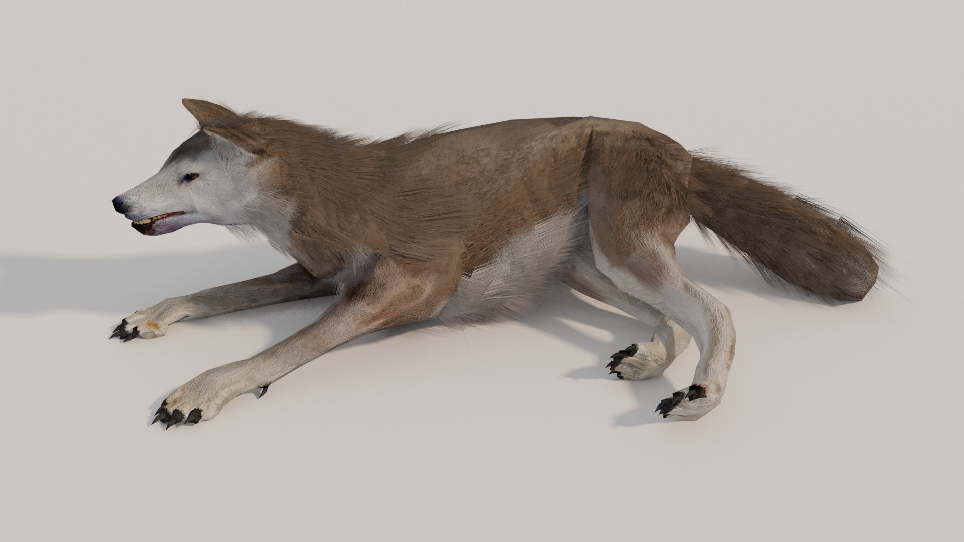 Wolf Animations 3D Model - TurboSquid 1510990