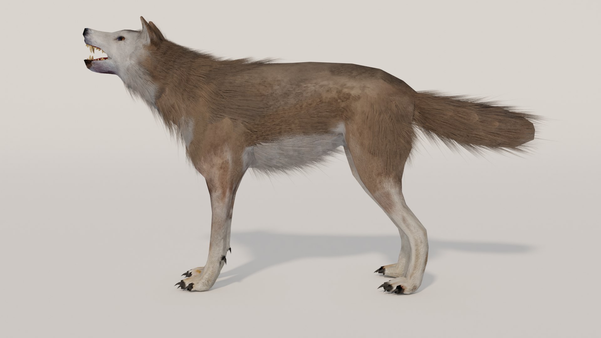 Wolf Animations 3D Model - TurboSquid 1510990