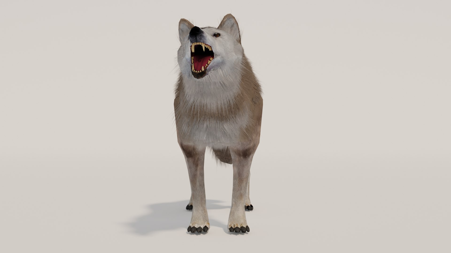Wolf Animations 3D Model - TurboSquid 1510990