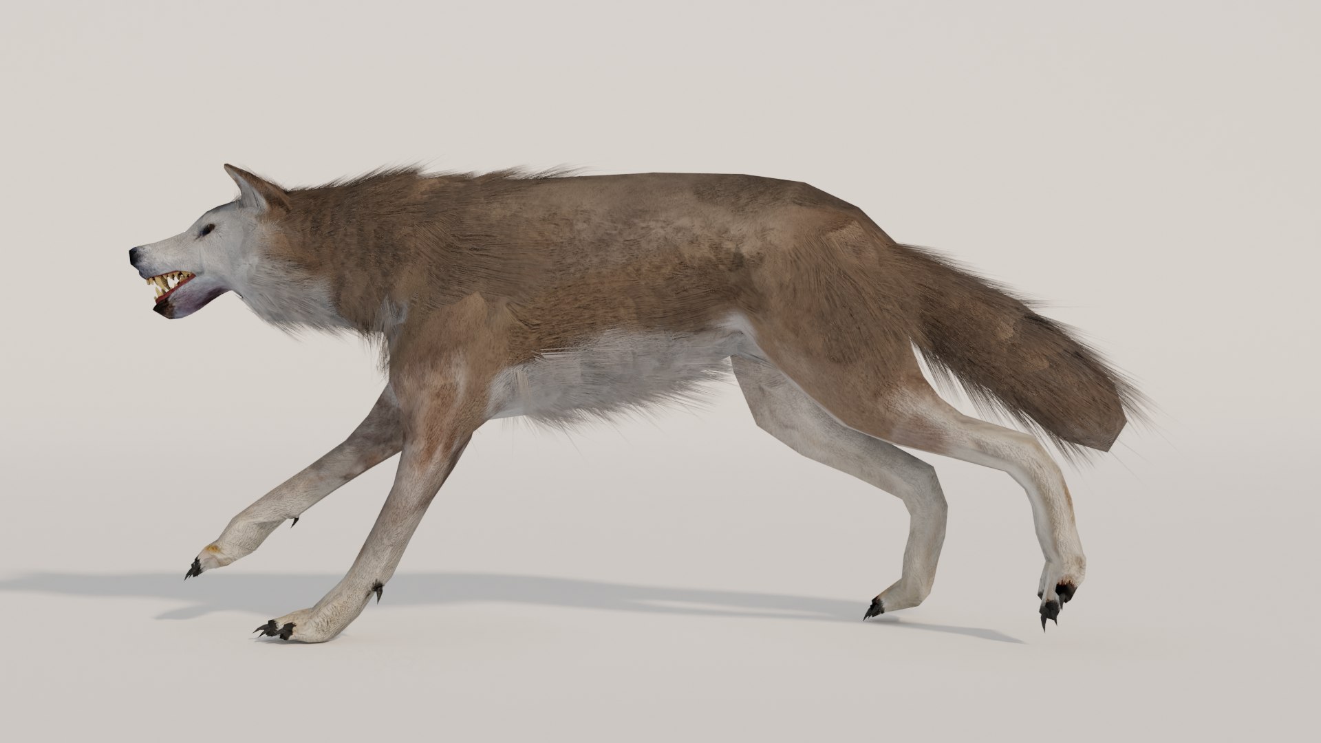 Wolf Animations 3D Model - TurboSquid 1510990