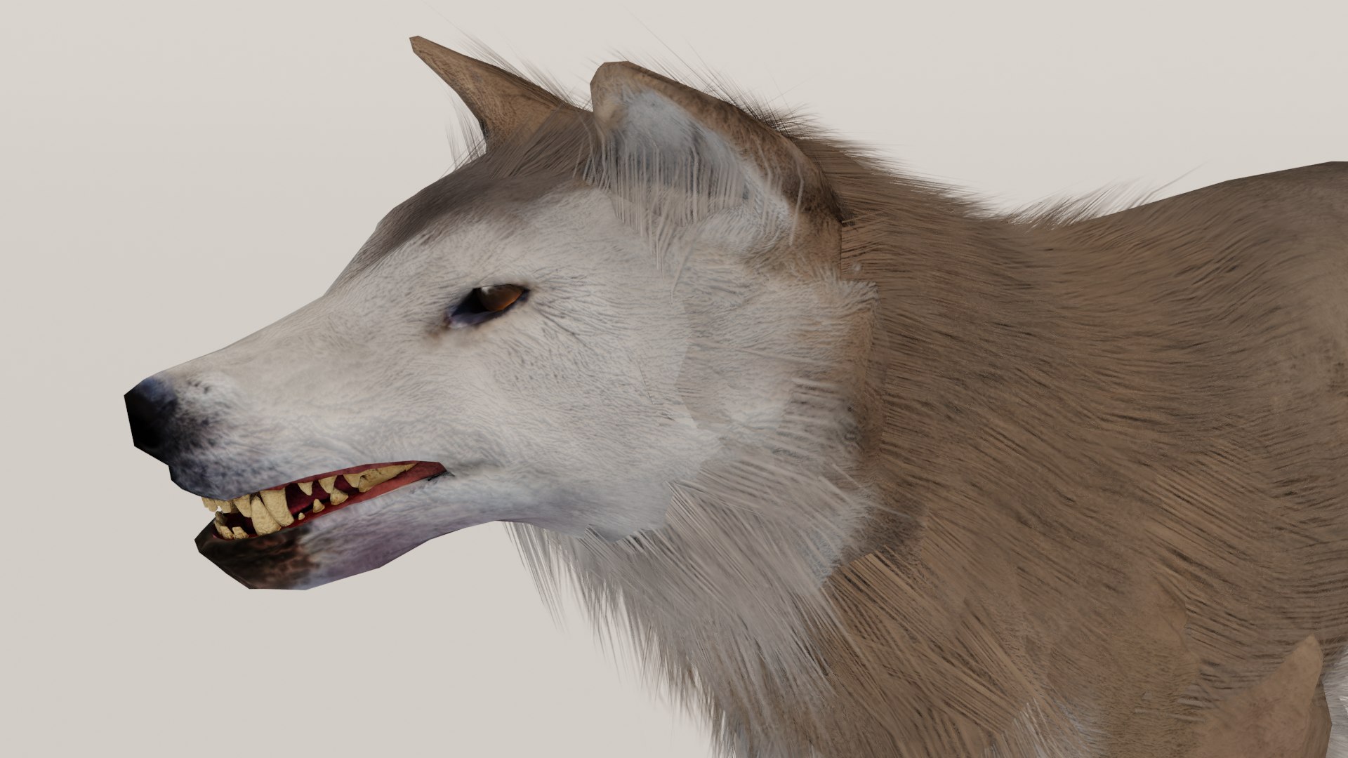 Wolf Animations 3D Model - TurboSquid 1510990