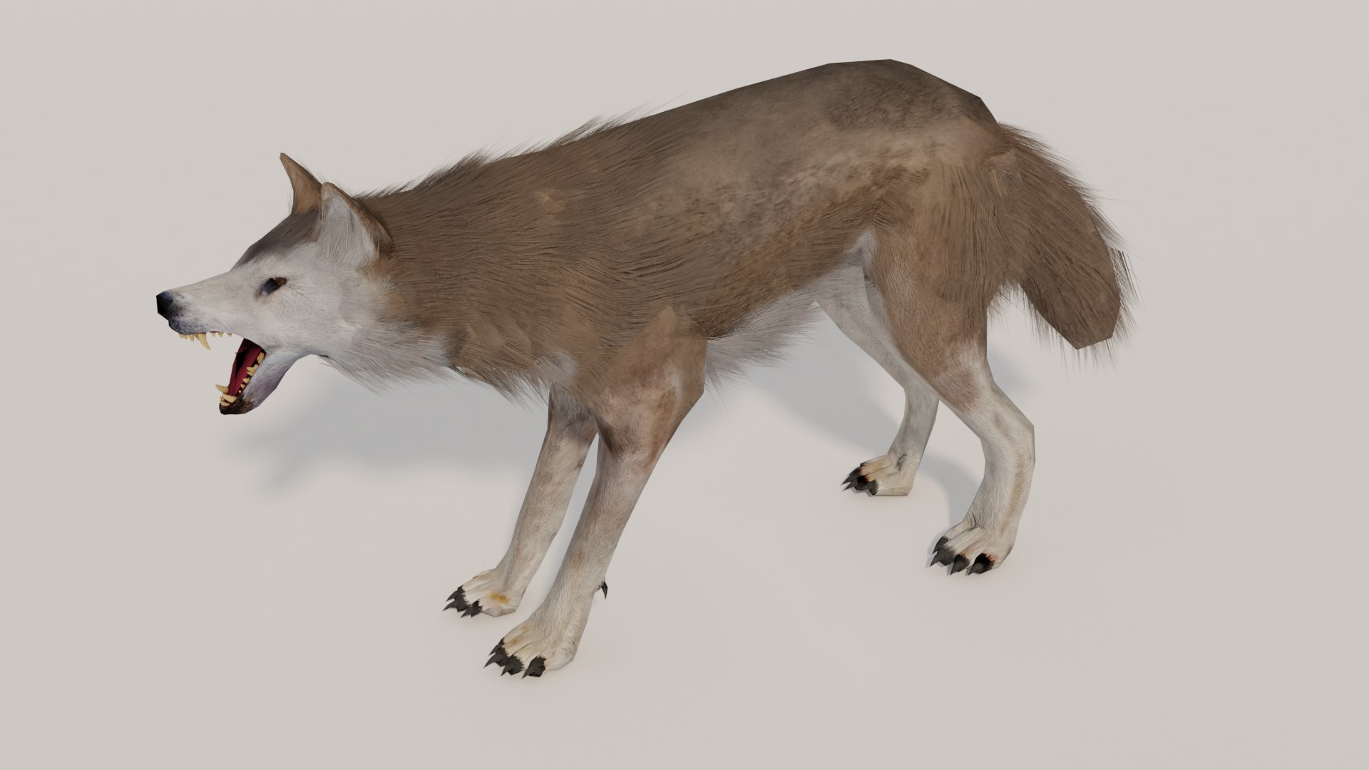Wolf Animations 3D Model - TurboSquid 1510990
