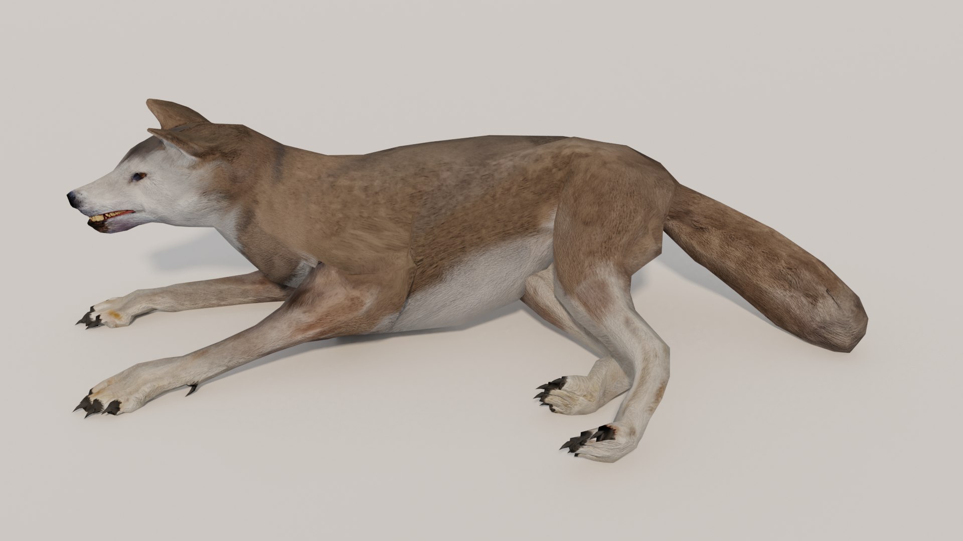 Wolf Animations 3D Model - TurboSquid 1510990