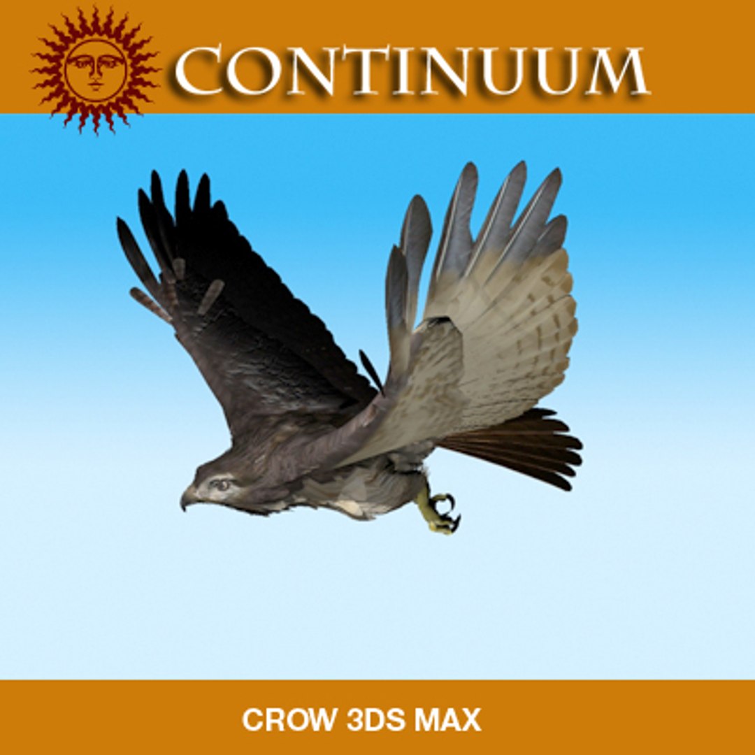 3d Red Tailed Hawk Rigged Model
