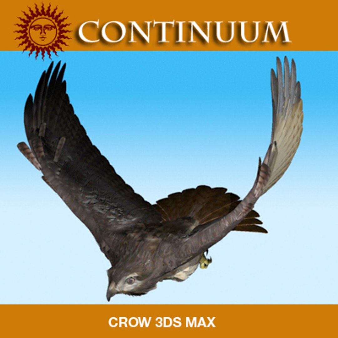 3d Red Tailed Hawk Rigged Model