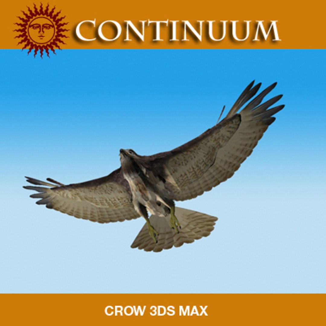 3d Red Tailed Hawk Rigged Model