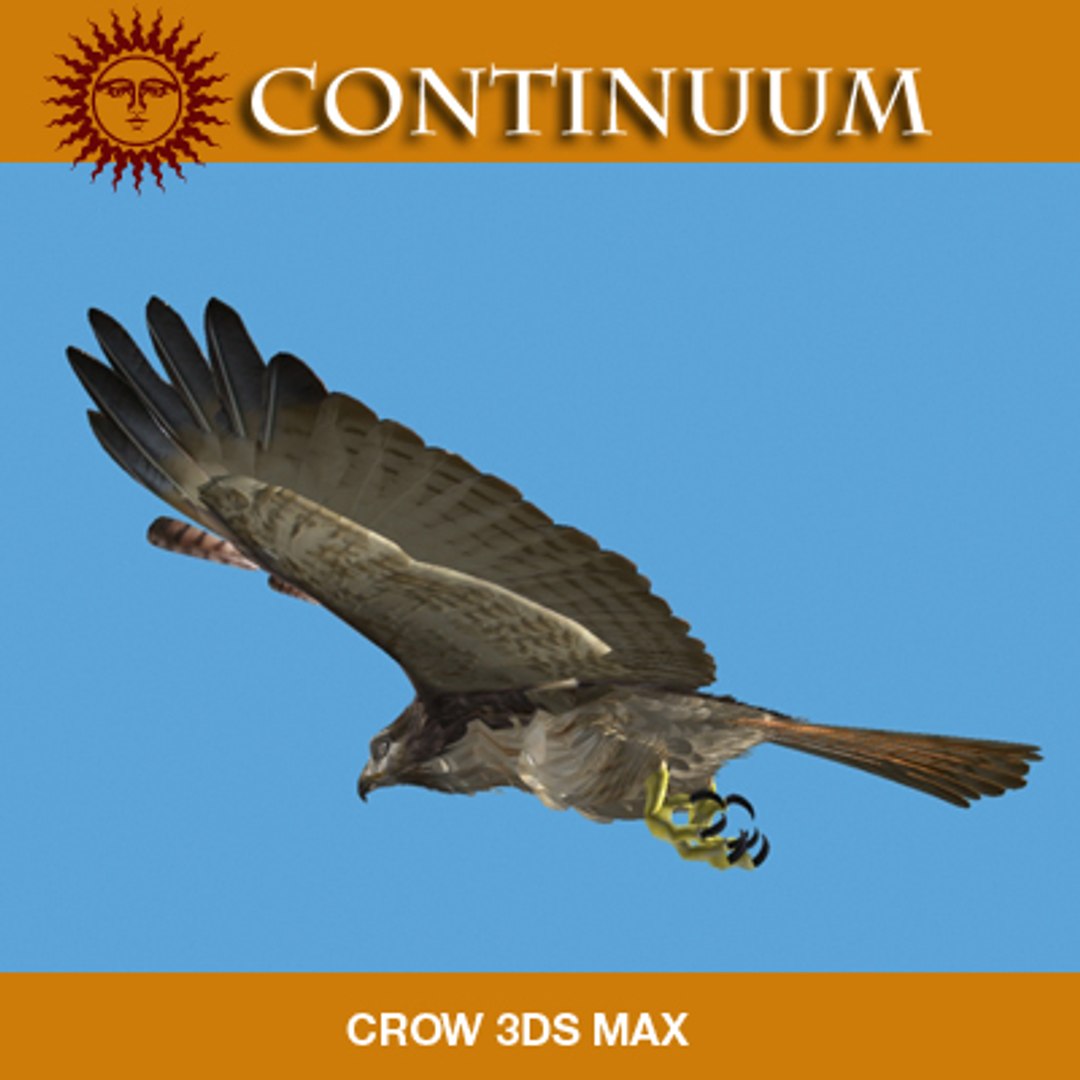 3d Red Tailed Hawk Rigged Model