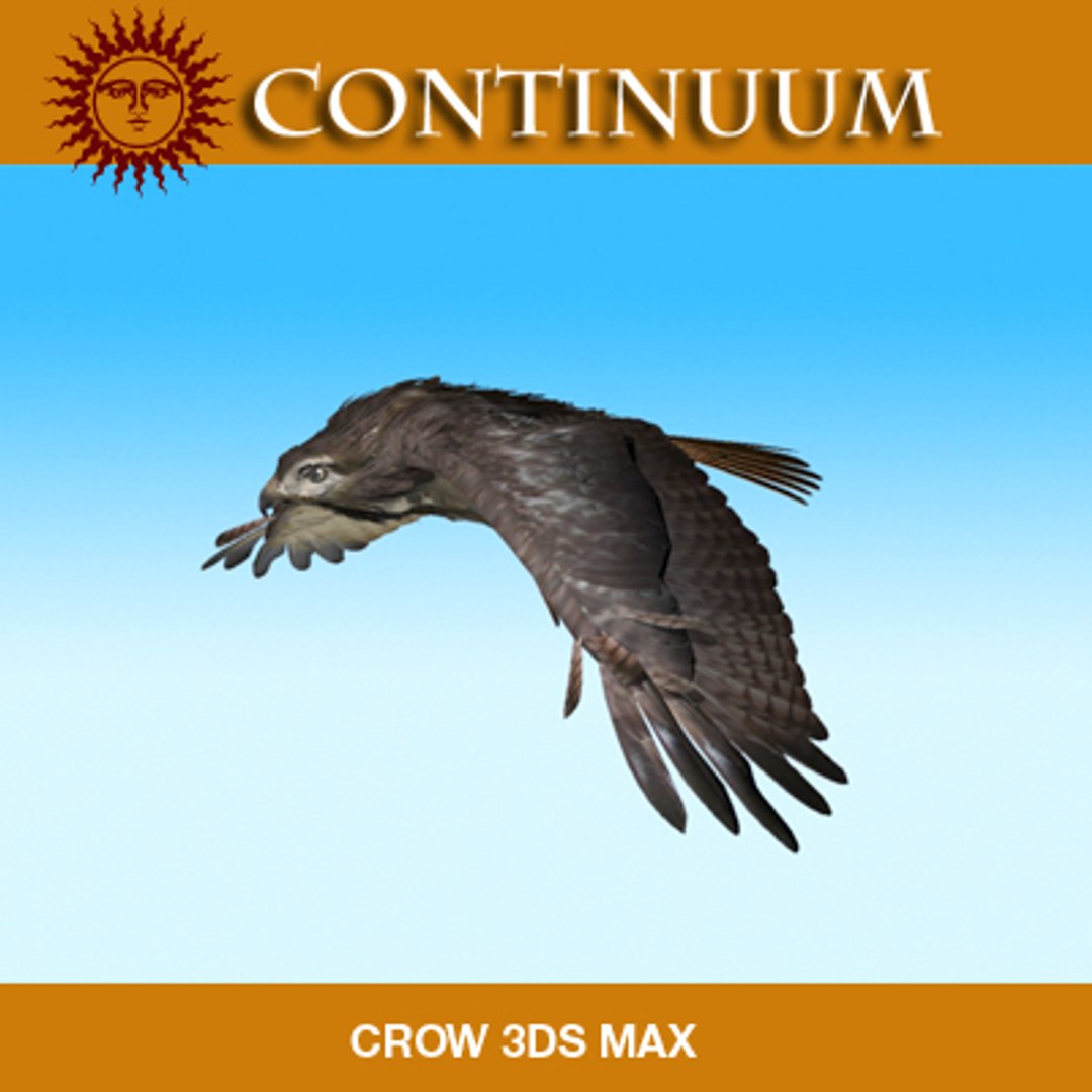 3d Red Tailed Hawk Rigged Model