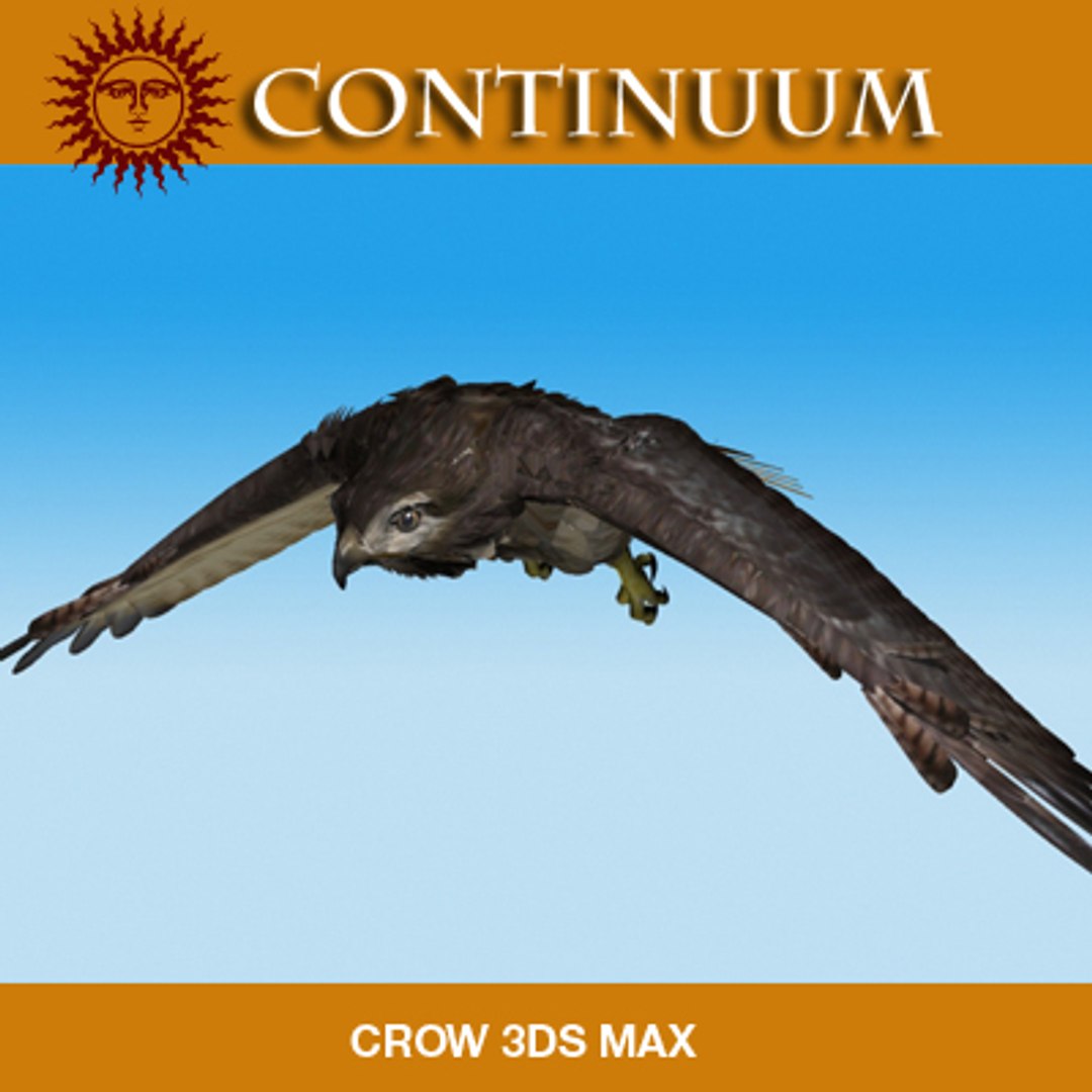 3d Red Tailed Hawk Rigged Model