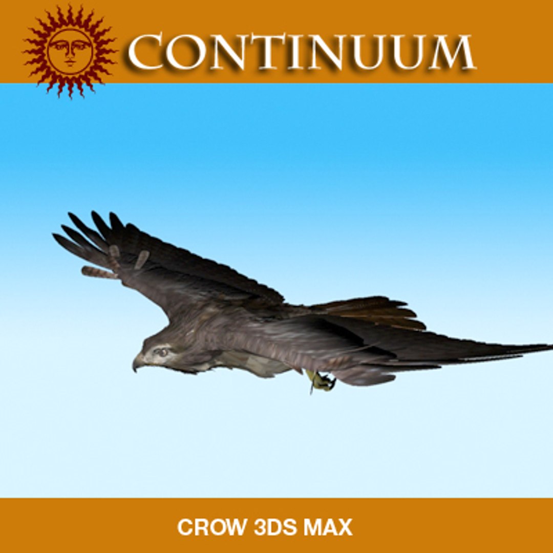 3d Red Tailed Hawk Rigged Model