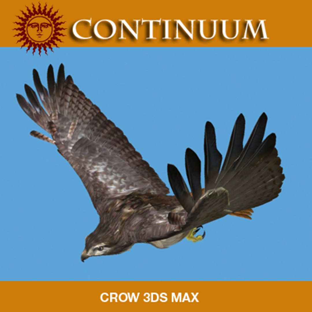 3d Red Tailed Hawk Rigged Model
