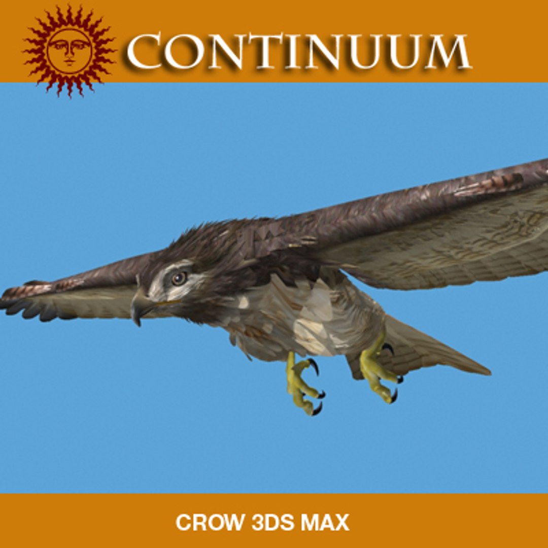 3d Red Tailed Hawk Rigged Model