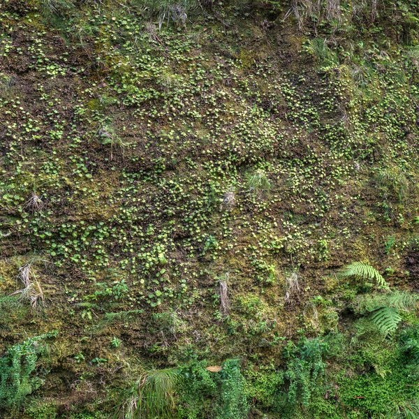 3d max green wall 16k cliffs