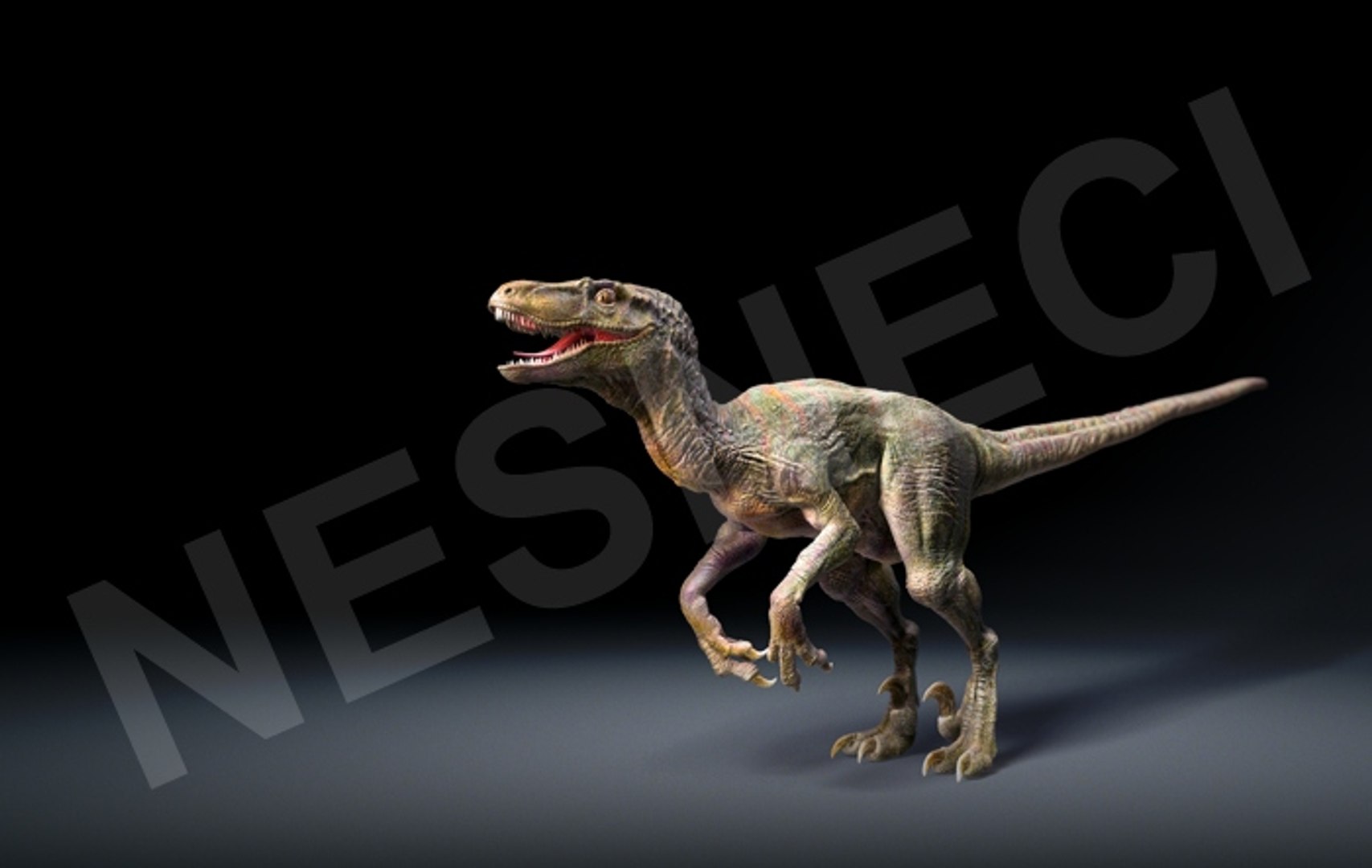 3d Model Raptor Dinosaur