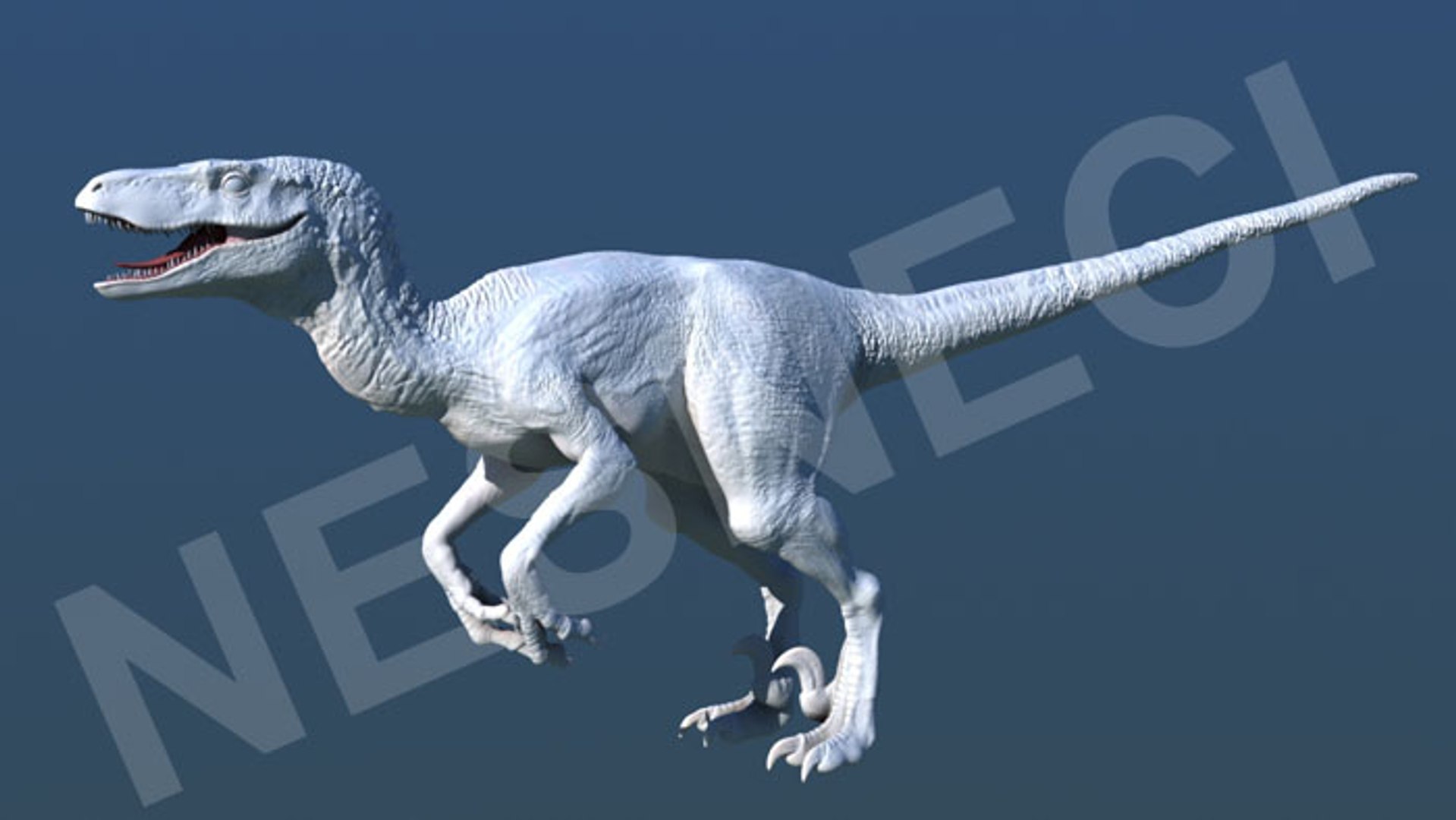 3d Model Raptor Dinosaur