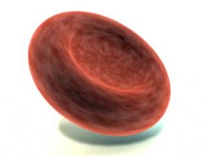 3D Rbc Models | TurboSquid