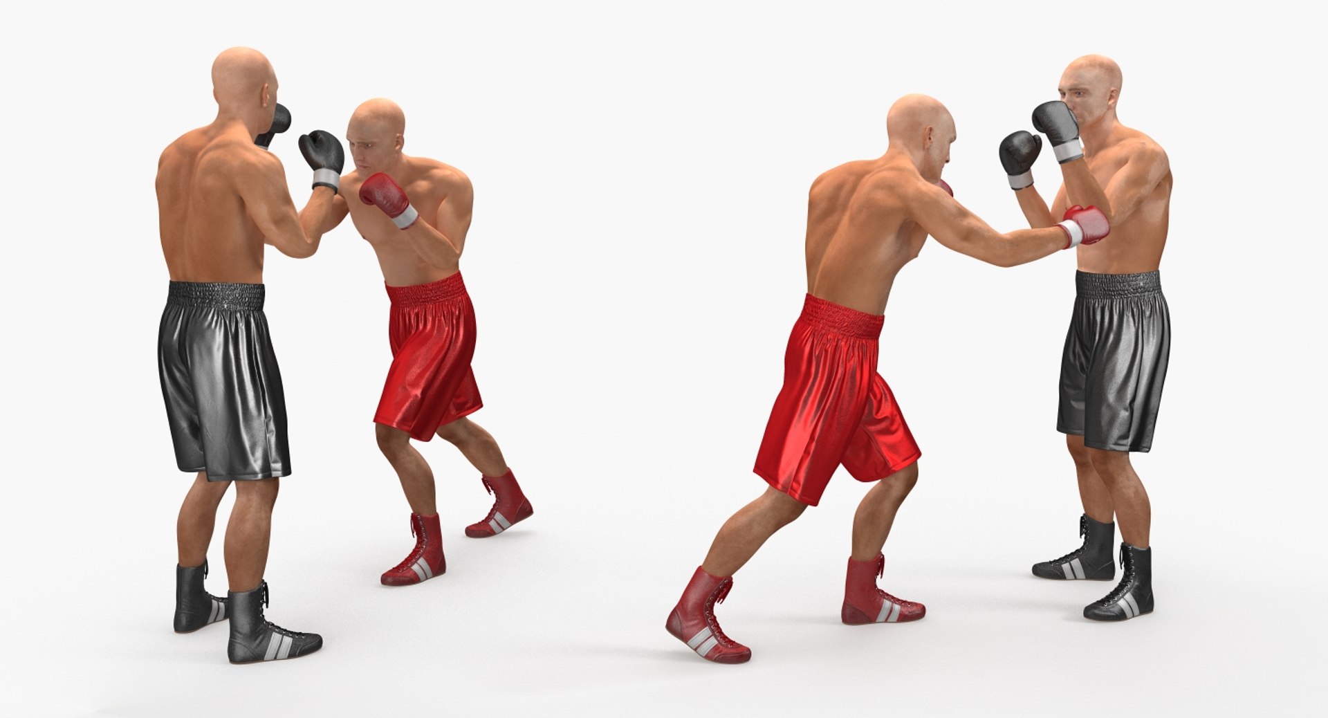 3d boxers fighting