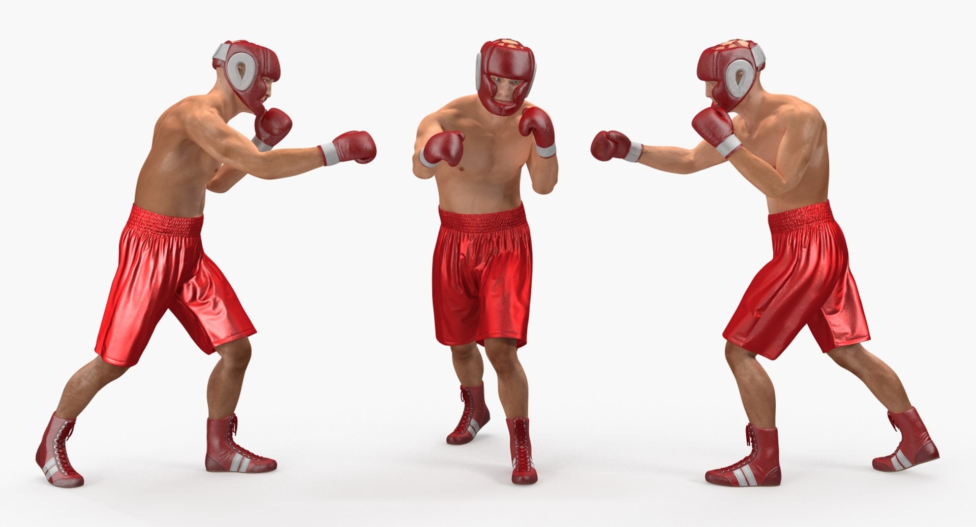 3d boxers fighting