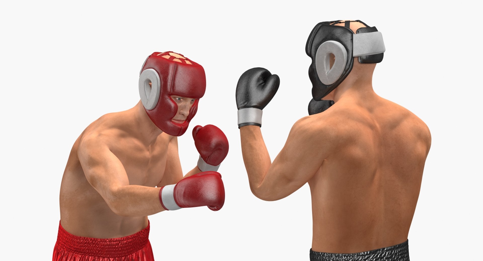 3d boxers fighting