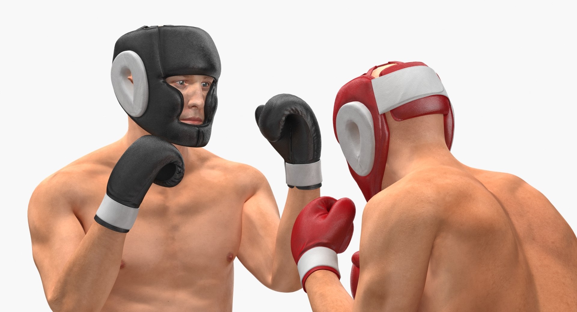 3d boxers fighting