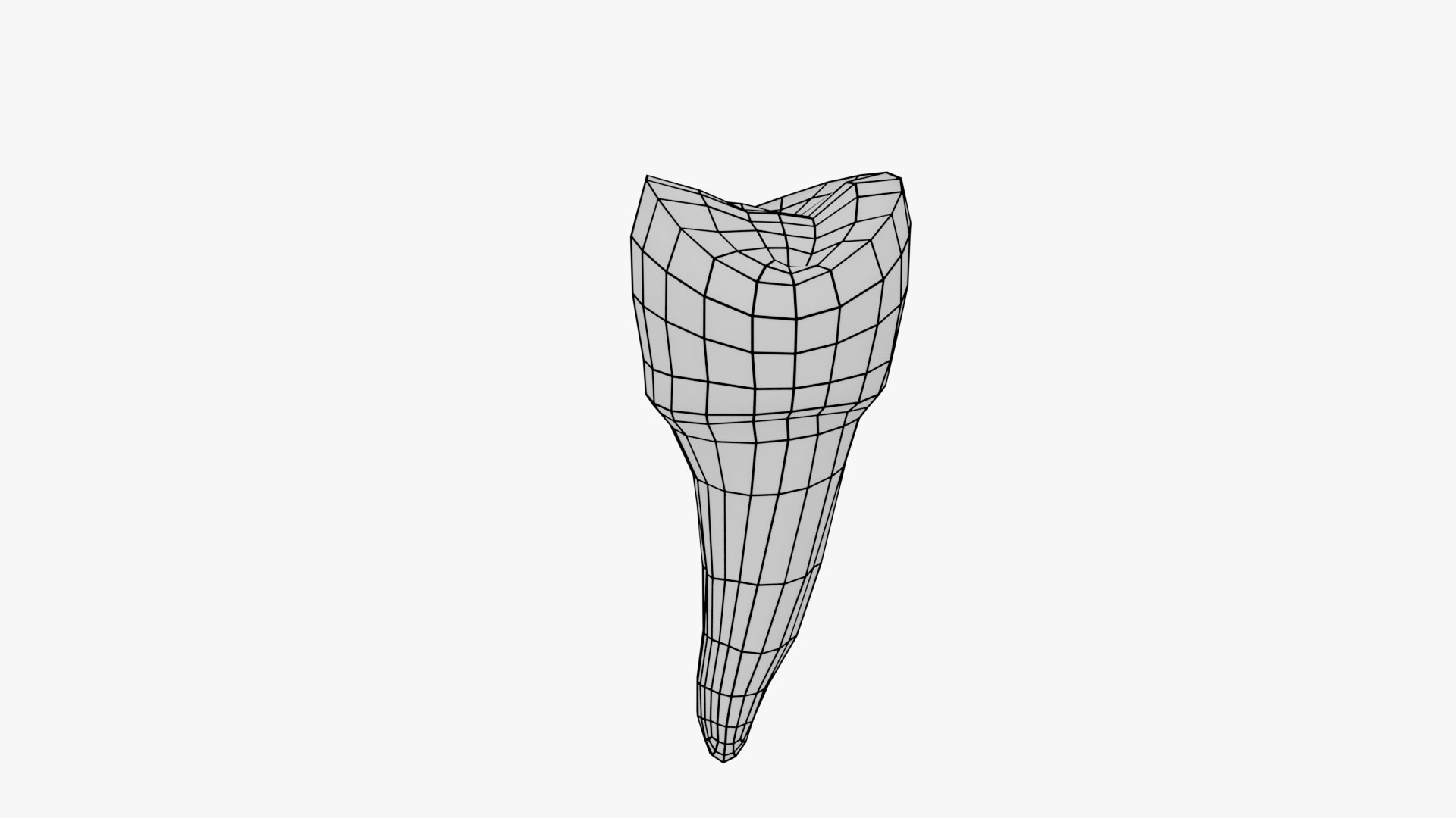 Tooth Premolar 3D Model - TurboSquid 1674068