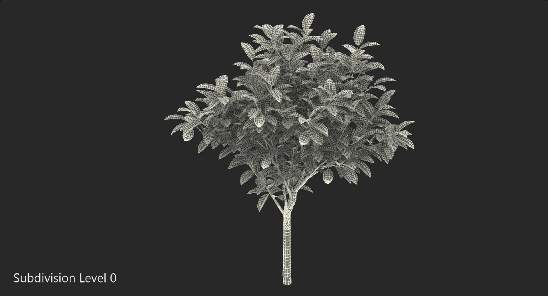 3D small lemon tree - TurboSquid 1378037