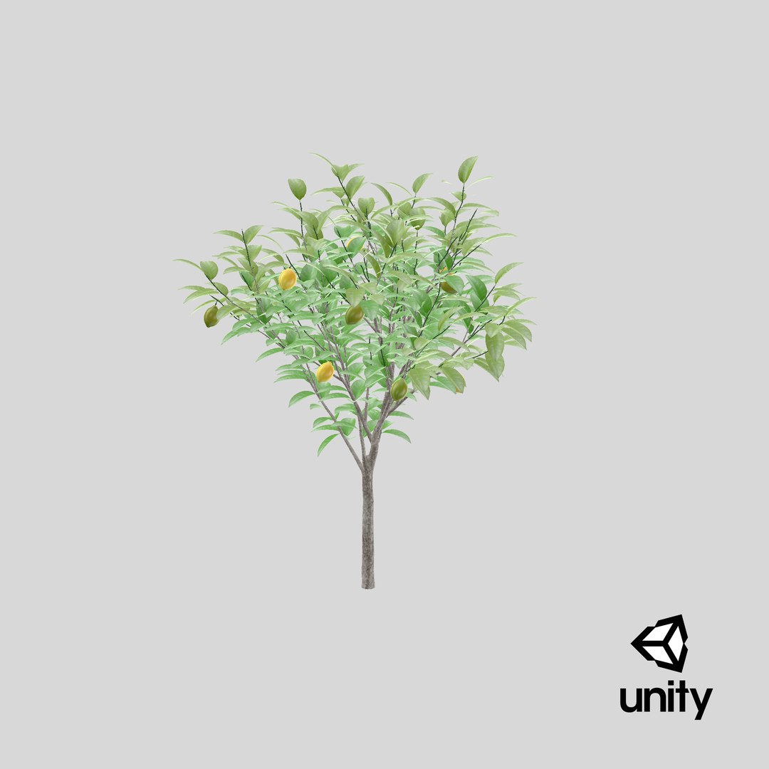 3D small lemon tree - TurboSquid 1378037