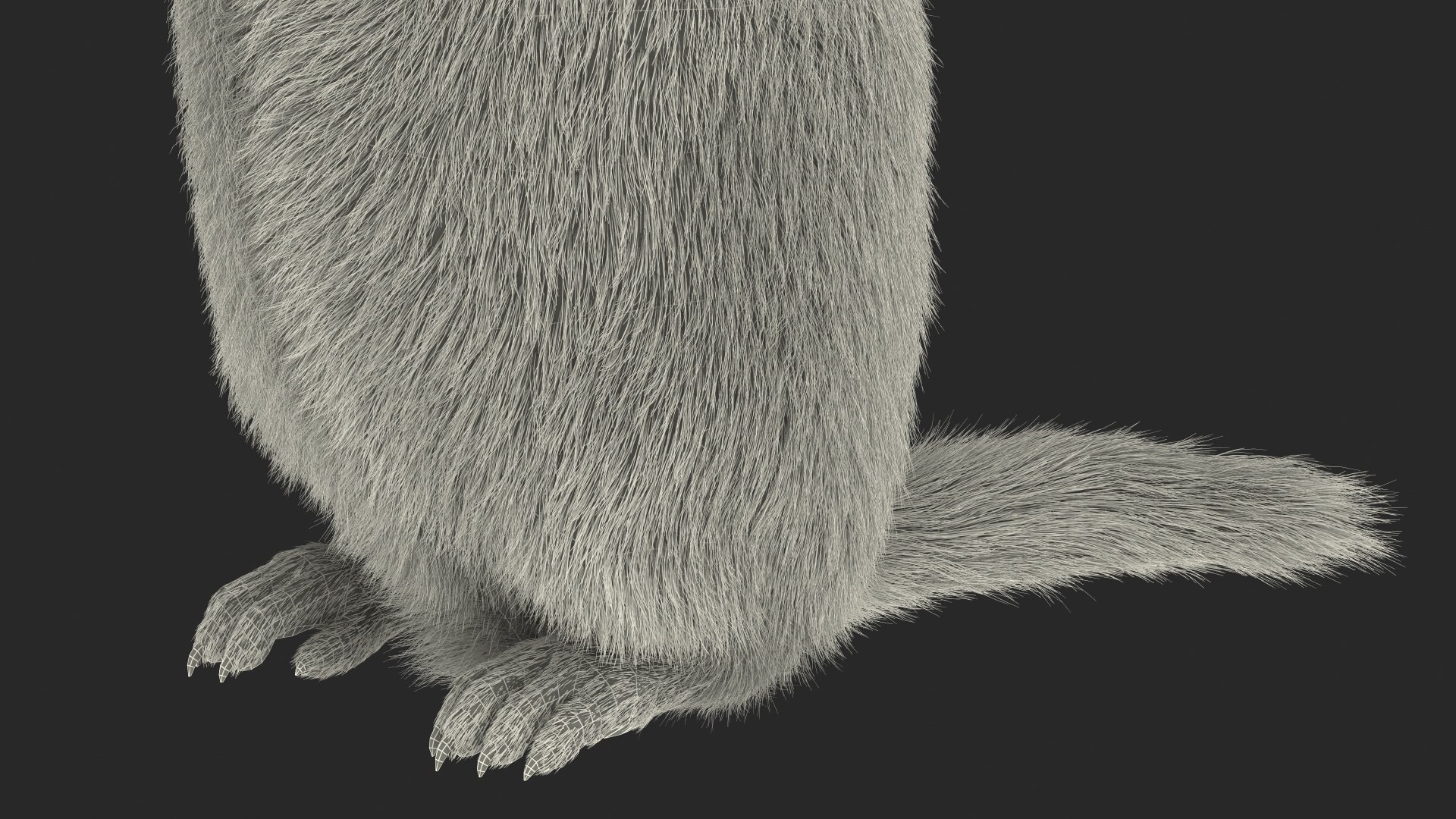 3D Groundhog Standing On Hind Legs Fur Model - TurboSquid 1964247