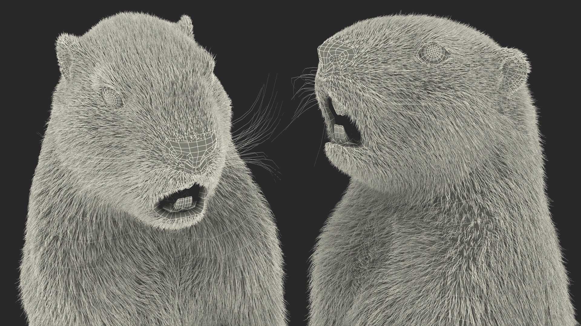 3D Groundhog Standing On Hind Legs Fur Model - TurboSquid 1964247