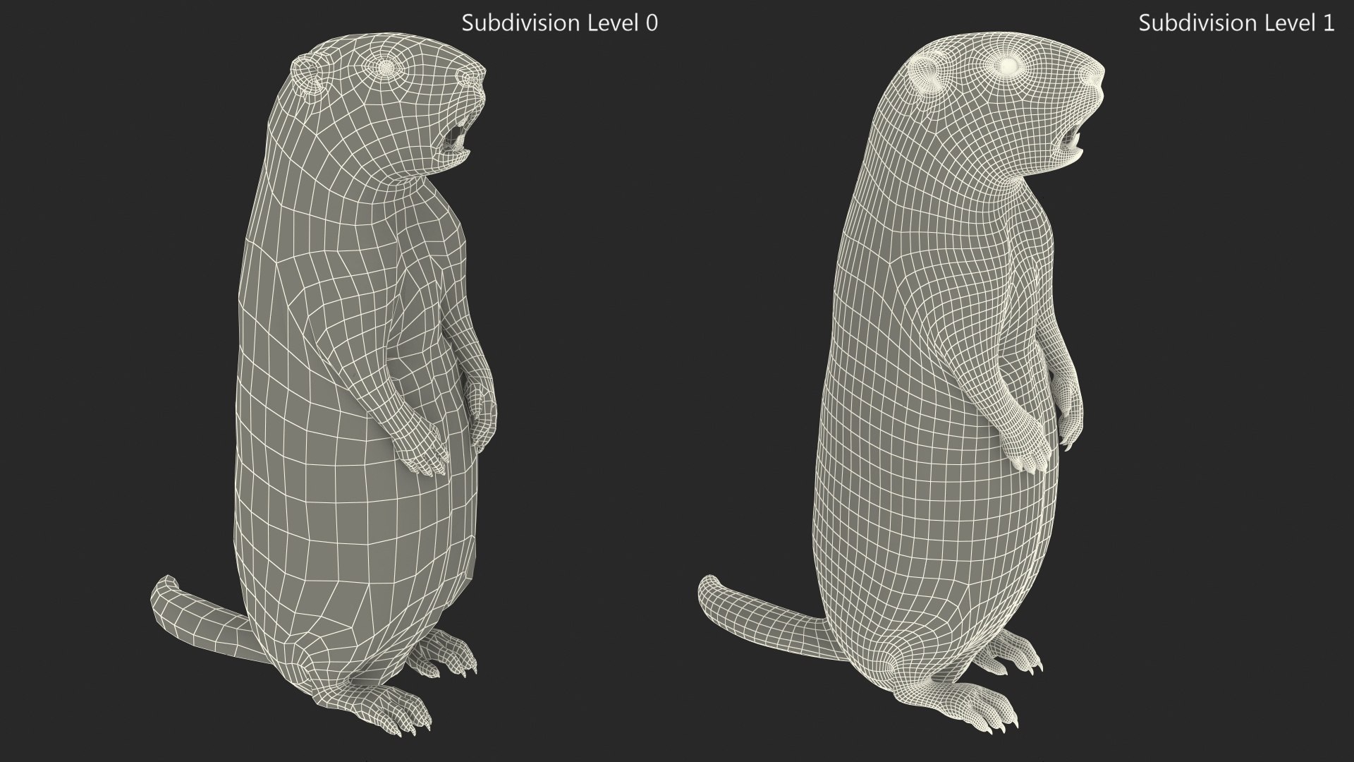 3D Groundhog Standing On Hind Legs Fur Model - TurboSquid 1964247