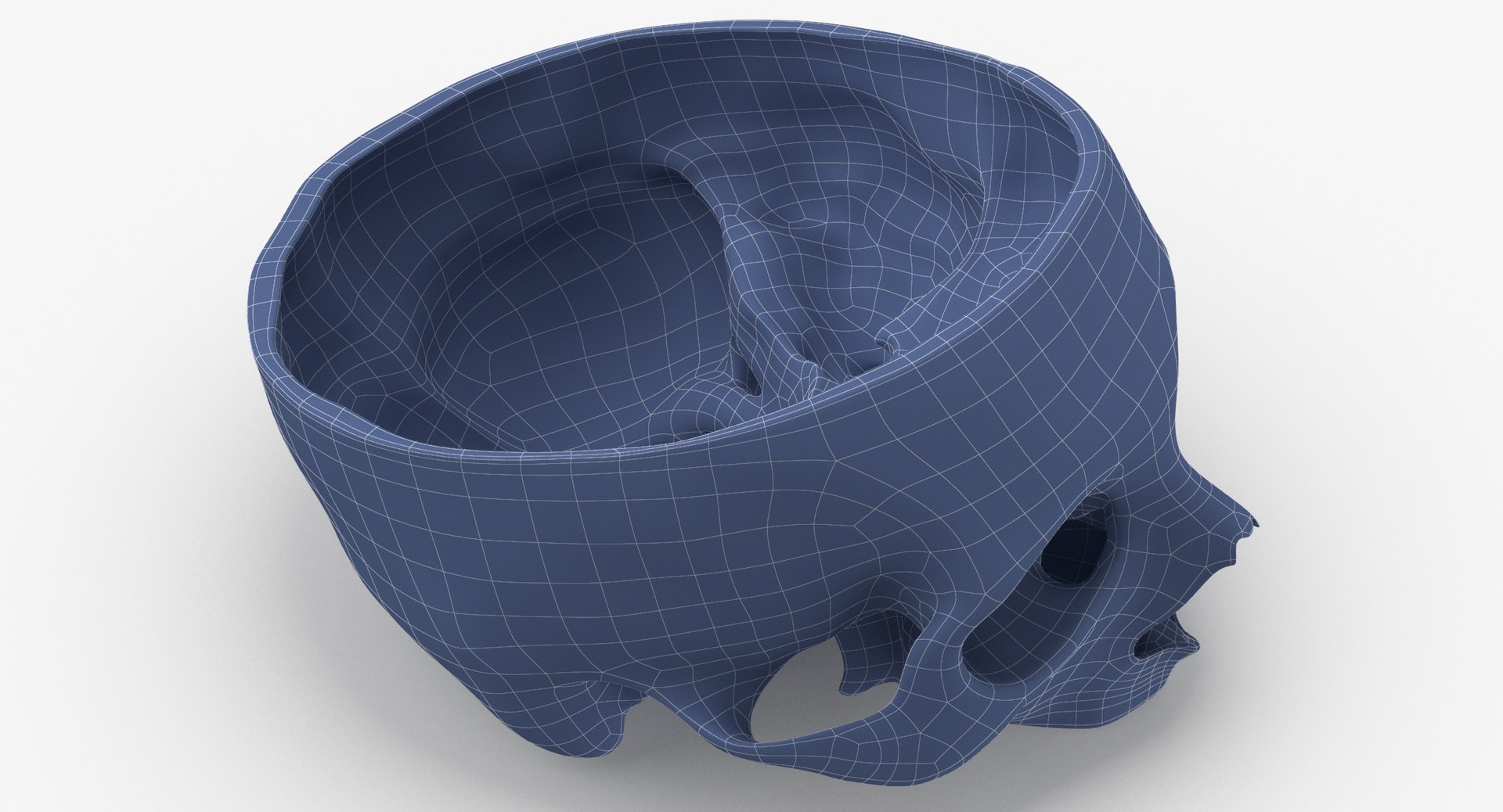 3D Model Human Skull Cranial 02 - TurboSquid 1542114