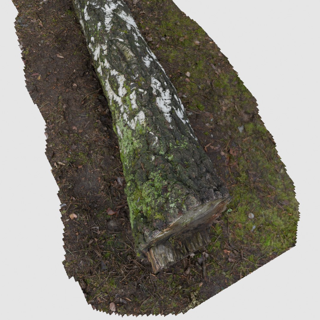 Scan Forest Trunk 3D Model - TurboSquid 1553049