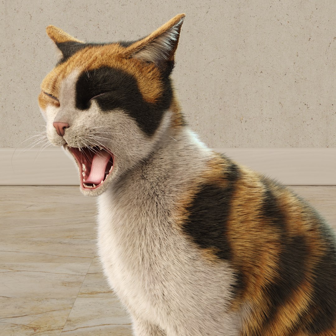 3D Cat Calico Rigged Animated Model - TurboSquid 2114374