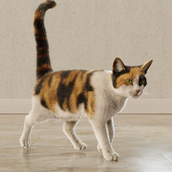 modelo 3d Cat Calico Rigged Animated - TurboSquid 2114374