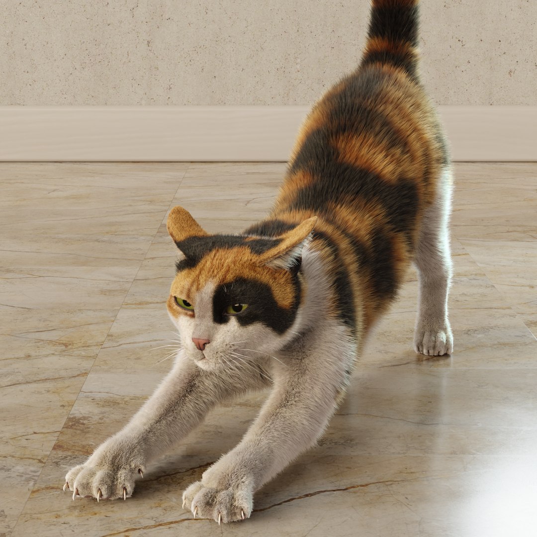 3D Cat Calico Rigged Animated Model - TurboSquid 2114374