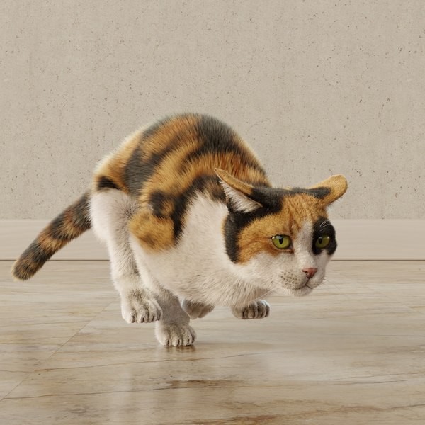 modelo 3d Cat Calico Rigged Animated - TurboSquid 2114374
