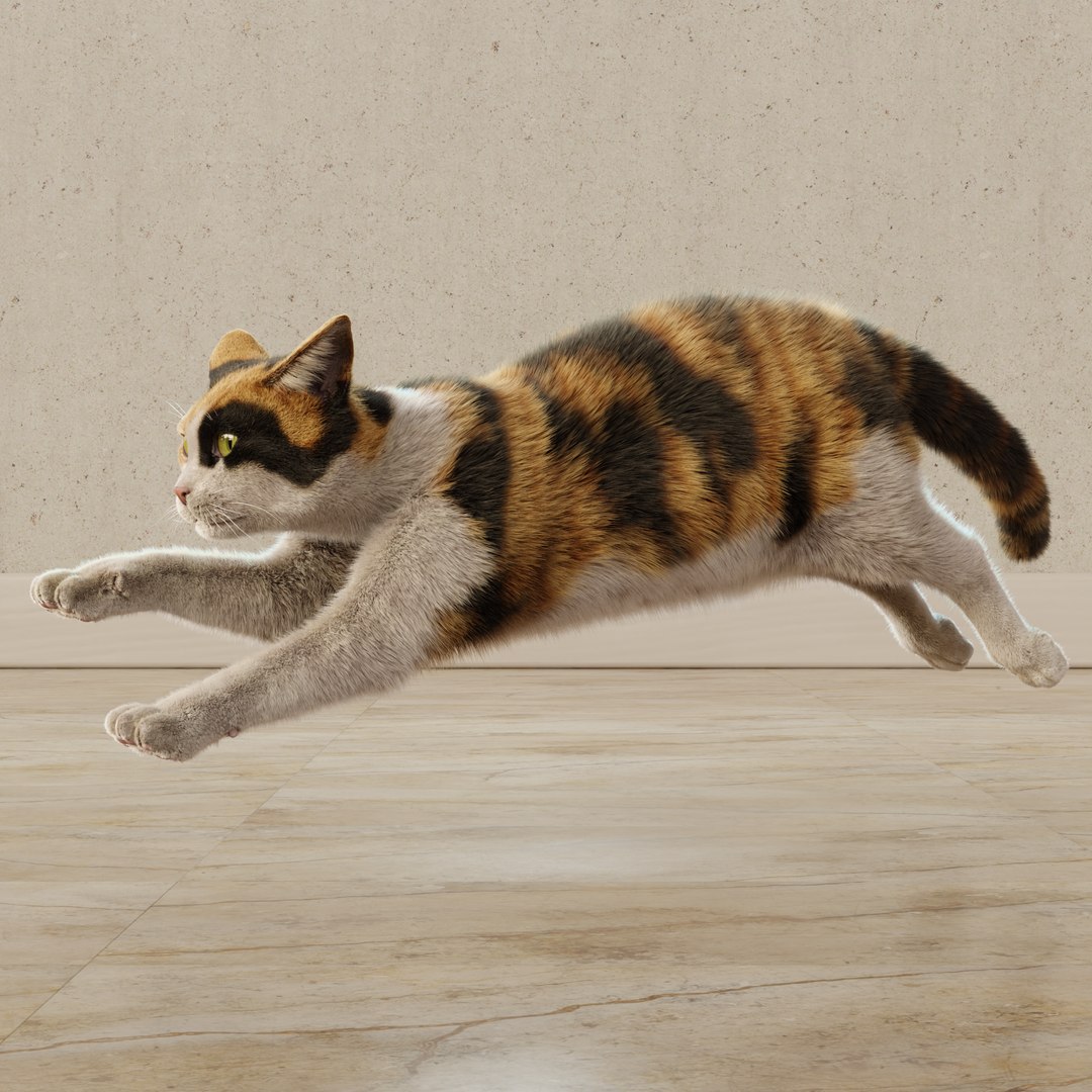 3D Cat Calico Rigged Animated model - TurboSquid 2114374