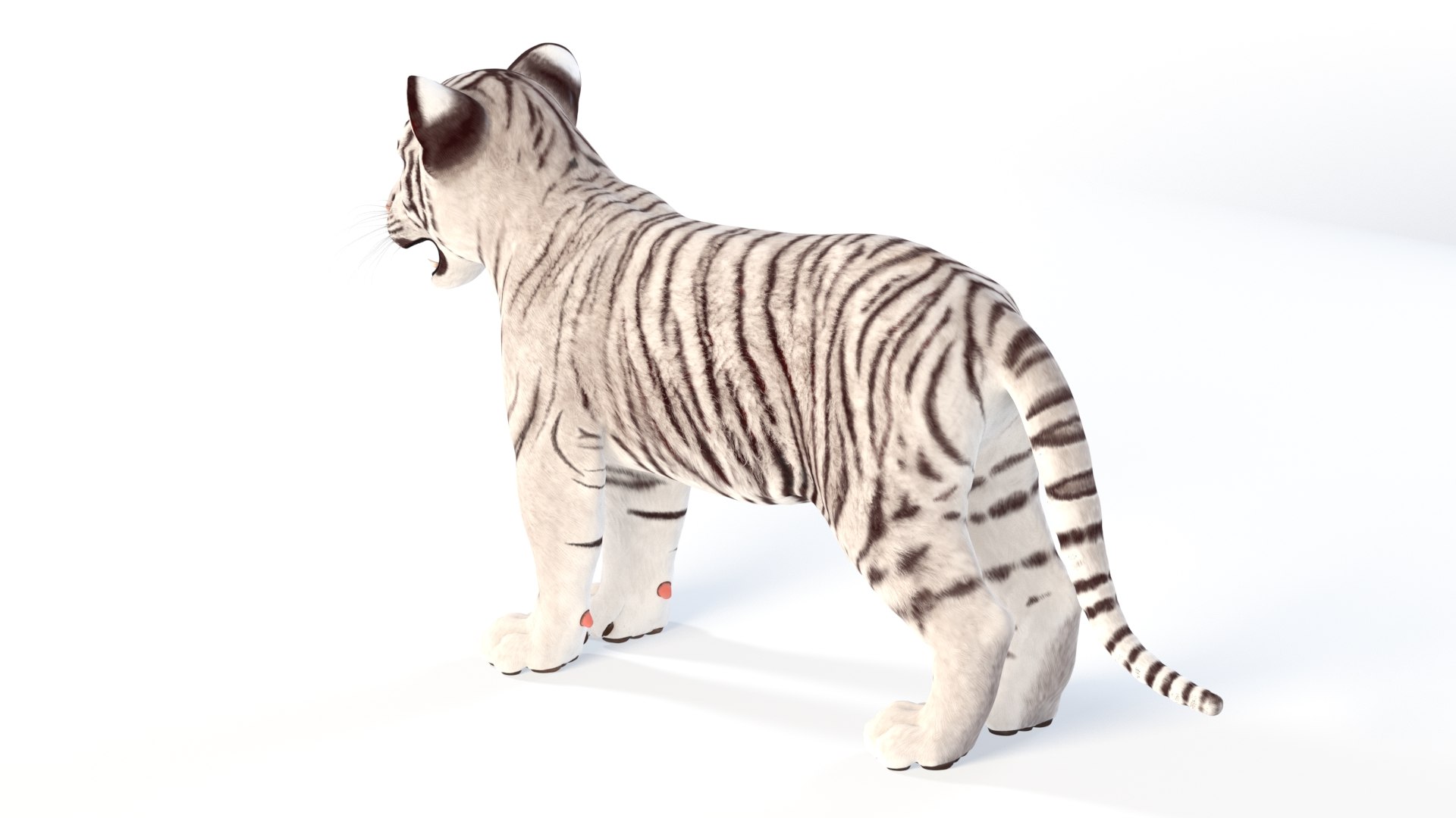 Tiger Cub White 3D Model - TurboSquid 1427946