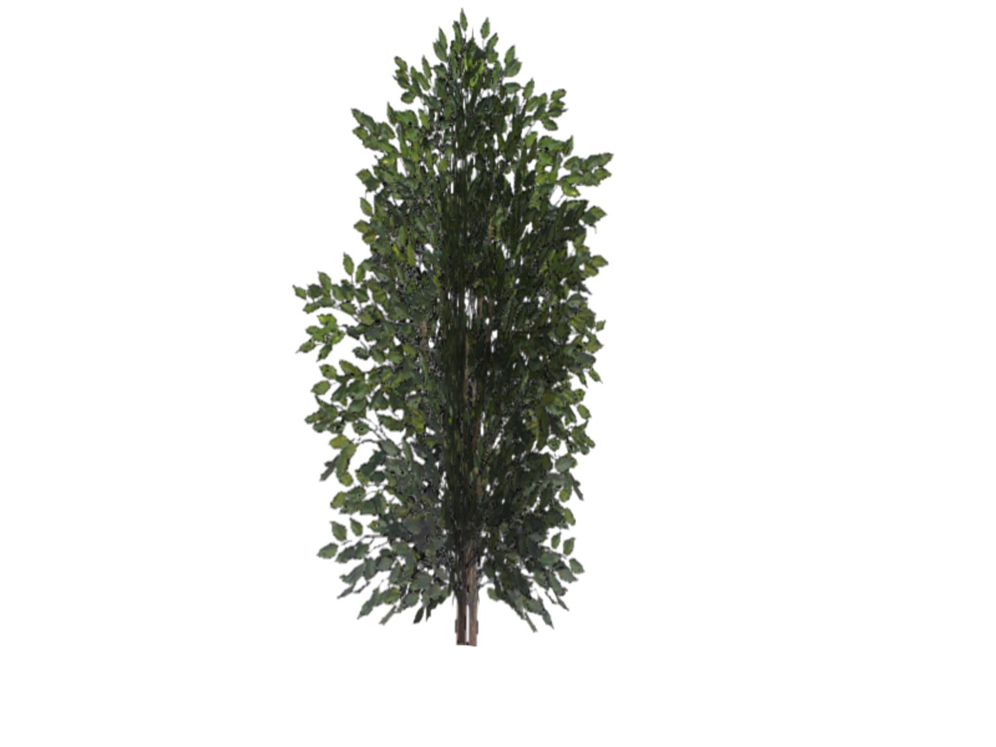 3d Model Bush Pack