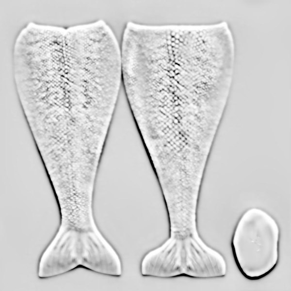 3D Mermaid Tail - TurboSquid 1889288