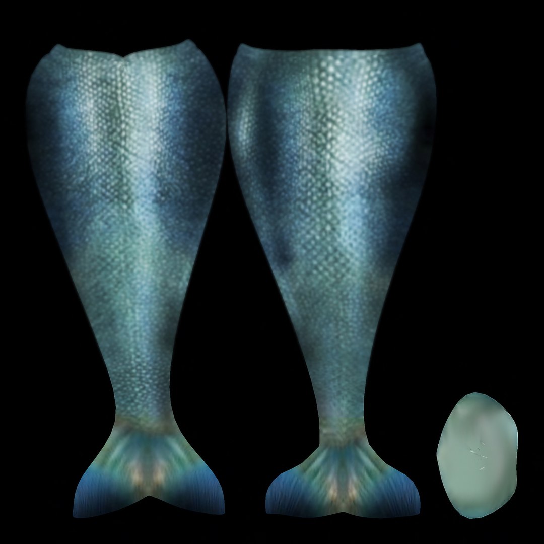 3D Mermaid Tail - TurboSquid 1889288