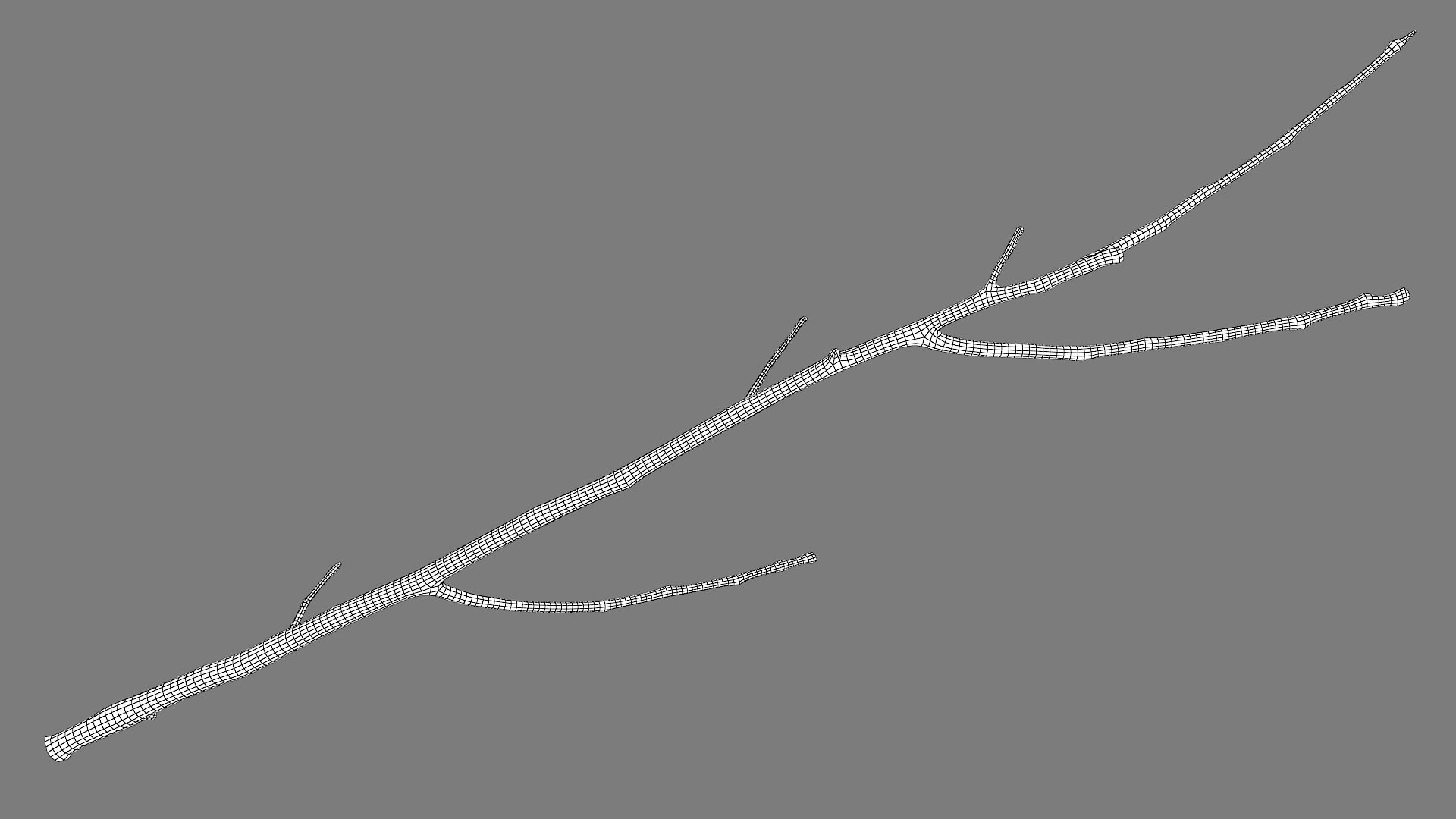 3D Model Twig Scanned 14 - TurboSquid 2088627