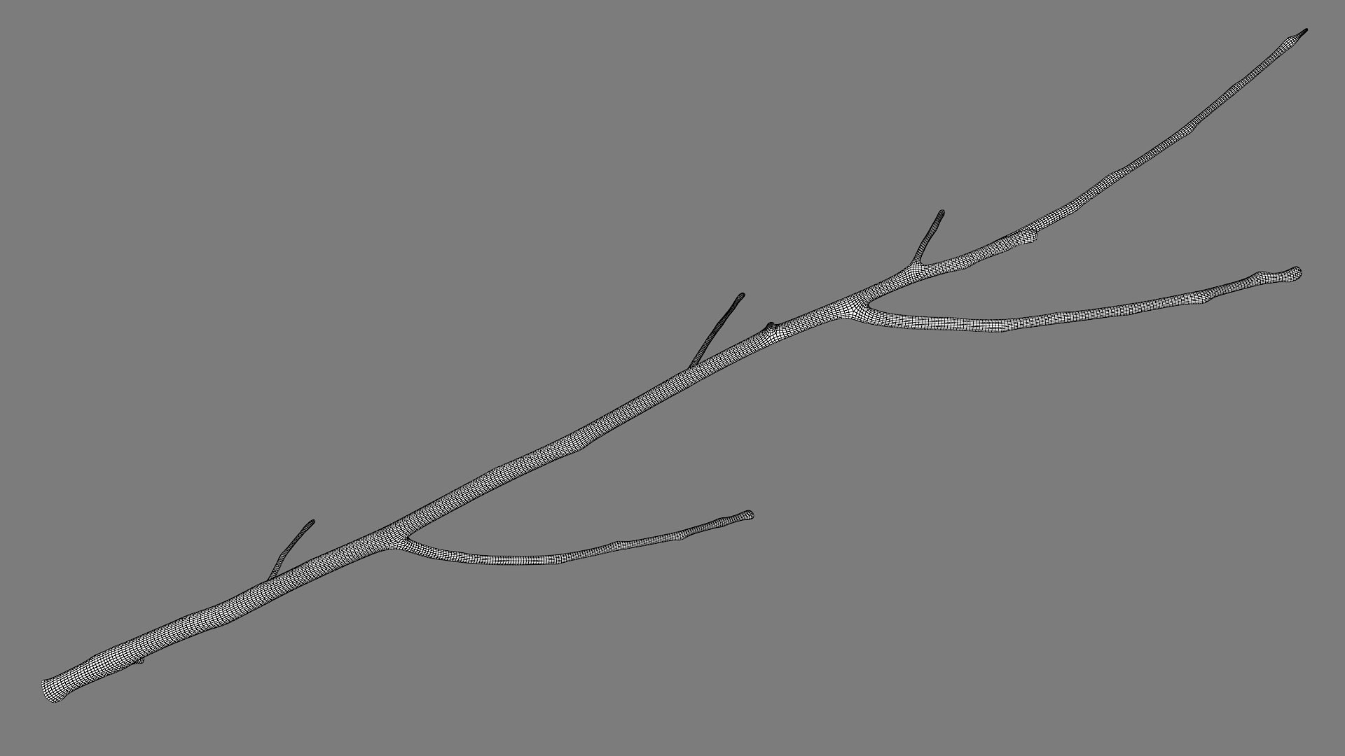 3D Model Twig Scanned 14 - TurboSquid 2088627