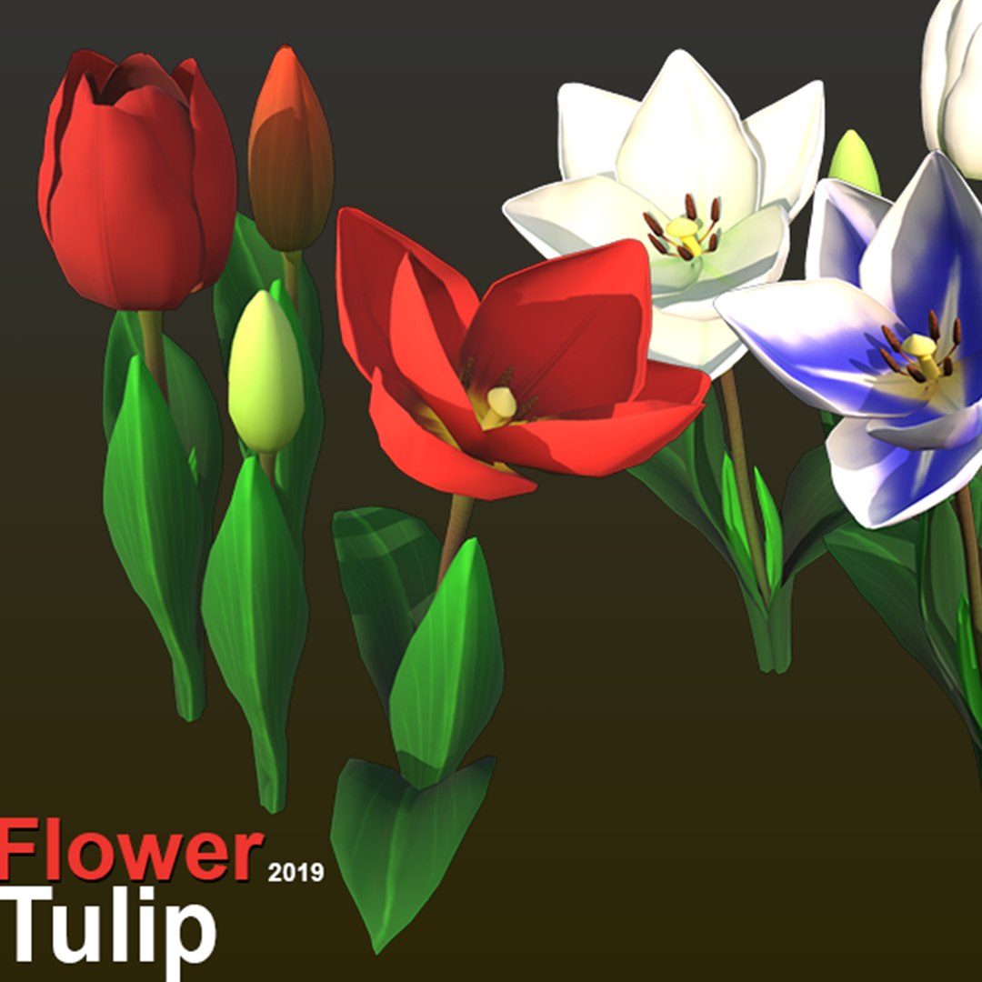 Flower Tulip Model - TurboSquid 2132568