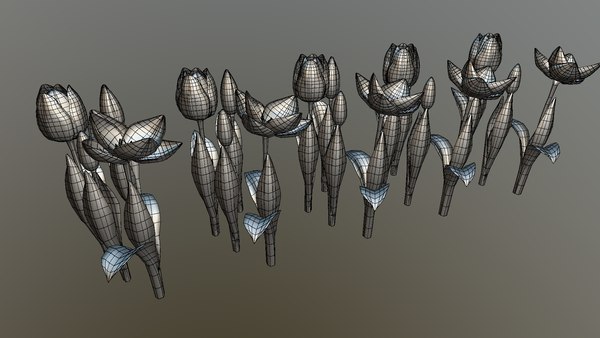 modelo 3d Flor Tulipán - TurboSquid 2132568