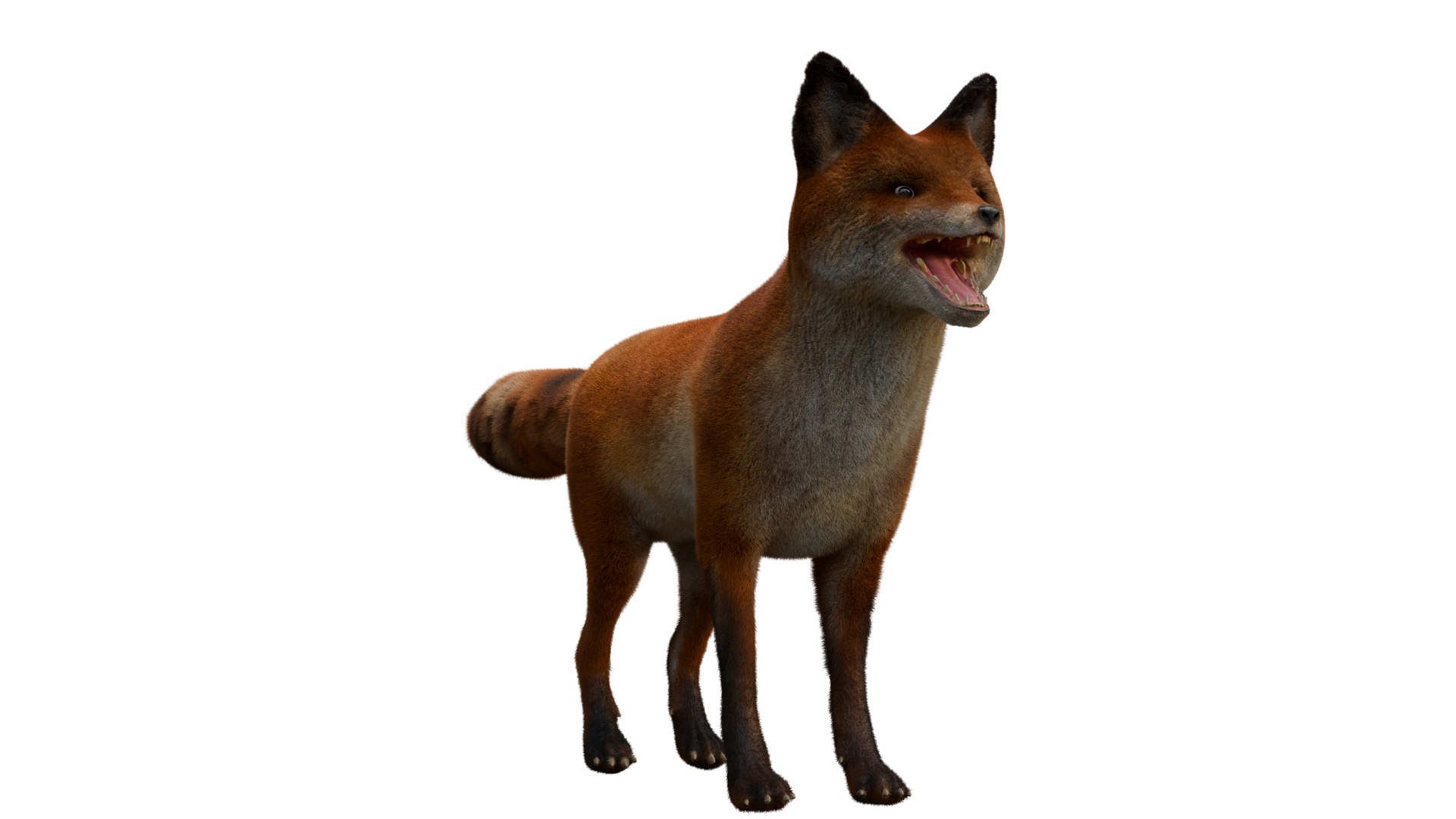Ultra-Realistic Fox 3D Model High-Poly Low-Poly Ready 3D - TurboSquid ...