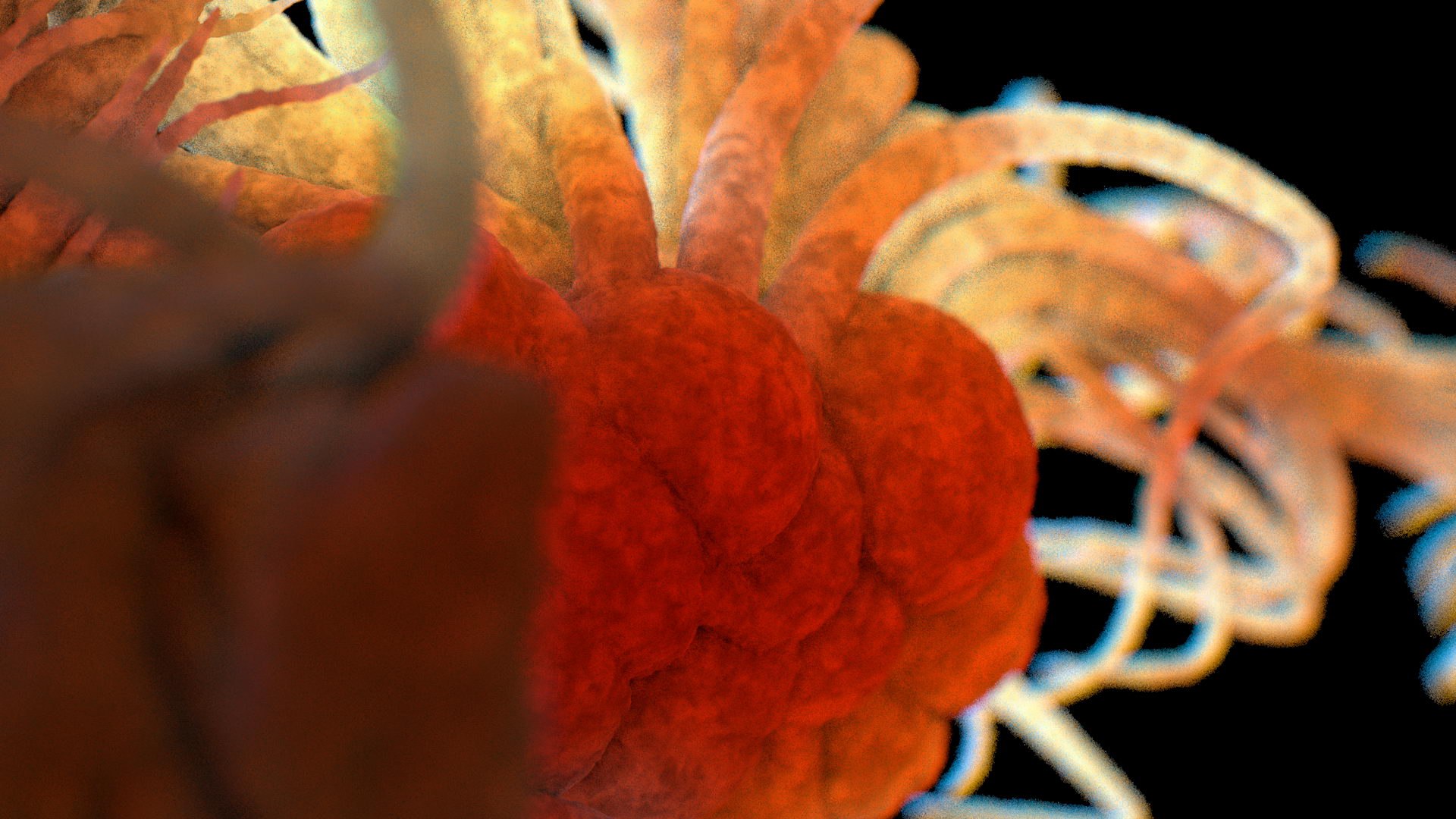 3d Evil Cell Organism